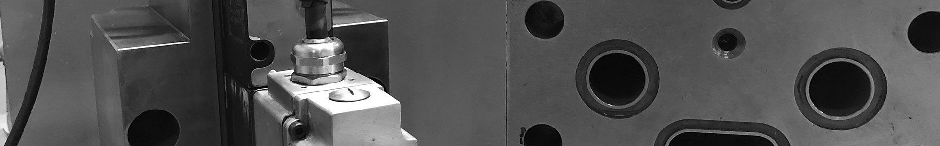 Multiway Valve Overhaul FIVA/ELFI - Diesel Injection Vliegenthart BV